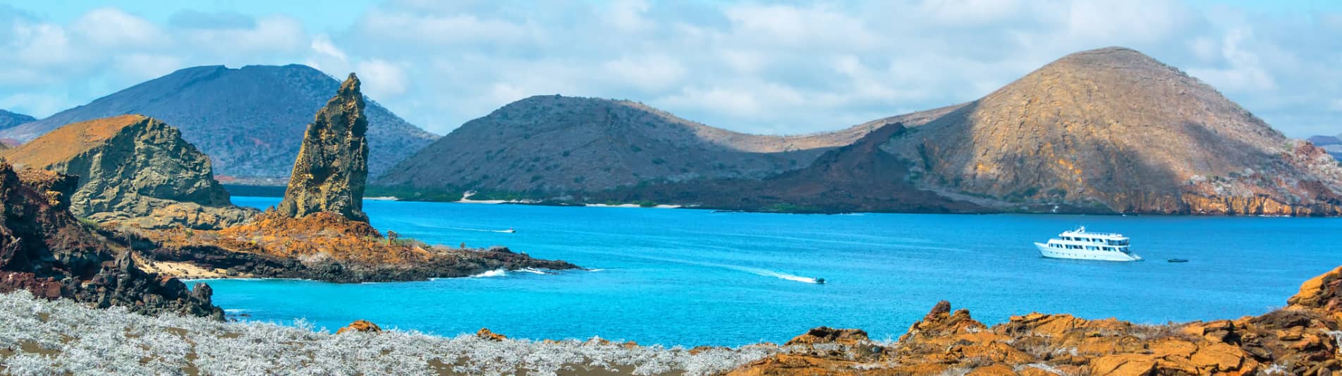 New Online Declaration of Goods Form: Key Changes for Galapagos ...